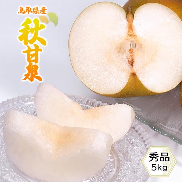 【発売日：2026年09月15日】鳥取県 オリジナル梨 秋甘泉商品名：秋甘泉梨産地：鳥取県内容量：1箱　約5kg（7〜20玉）賞味期限：商品到着後、なるべく早くお召し上がりください。爆買