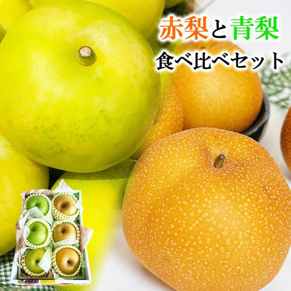 【発売日：2026年09月21日】商品名：赤梨と青梨の食べ比べセット内容量：赤梨　2-3玉、青梨　2-3玉　化粧箱入（大きさにより入り数が変更します）賞味期限：商品到着後なるべく早めにお召し上がりください。
