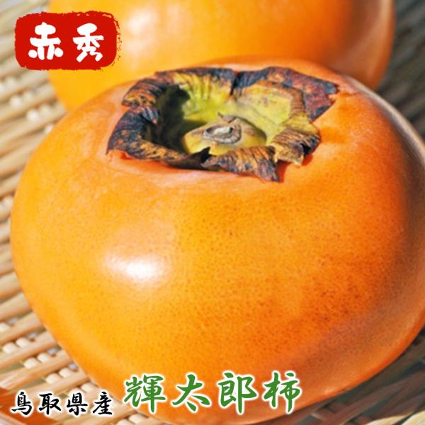 【発売日：2026年10月13日】鳥取県産の「輝太郎柿」は、特別な甘さとジューシーさが魅力の新しい品種です。この柿は、鳥取県の豊かな自然の中で育まれ、ひとつひとつ丁寧に選ばれた高級柿です。果肉はとろけるような食感で、口に入れた瞬間に広がる甘...