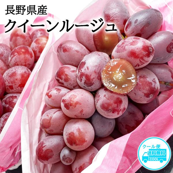 【発売日：2026年09月15日】長野県産「クイーンルージュ」は、マスカットの爽やかな香りと濃厚な甘みをあわせ持つ、近年注目のプレミアム品種の赤いシャインマスカットです。種がなく、皮ごと食べられるため、手を汚さずにそのままパリッと。口いっぱ...