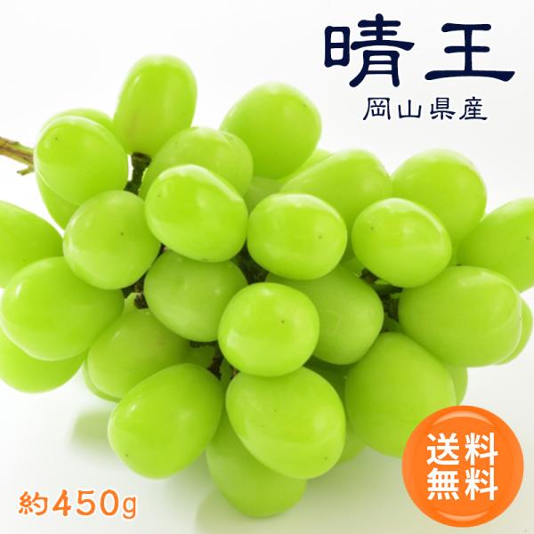商品名：晴王 シャインマスカット　産地：岡山県内容量：１箱 約450g賞味期限：商品到着後、お早目にお召し上がりください