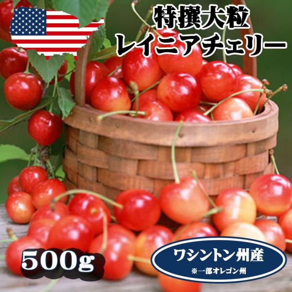 商品説明名　称:ワシントン州 アメリカンチェリー 大粒レイニアチェリー　大粒【500g】高級アメリカンレイニアチェリー原産地:アメリカ・ワシントン州産（稀にオレゴン州産)内容量:1箱 約500g　大粒サイズ　化粧箱入り　最高級贈答用ギフトコ...
