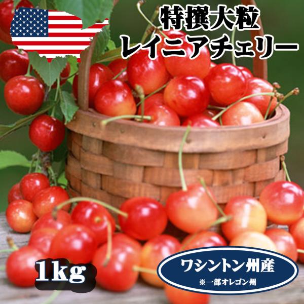 商品説明名　称:ワシントン州 アメリカンチェリー 大粒レイニアチェリー　大粒【1kg】高級アメリカンレイニアチェリー原産地:アメリカ・ワシントン州産（稀にオレゴン州産)内容量:1箱 約1kg　大粒サイズ　化粧箱入り　最高級贈答用ギフトコメン...