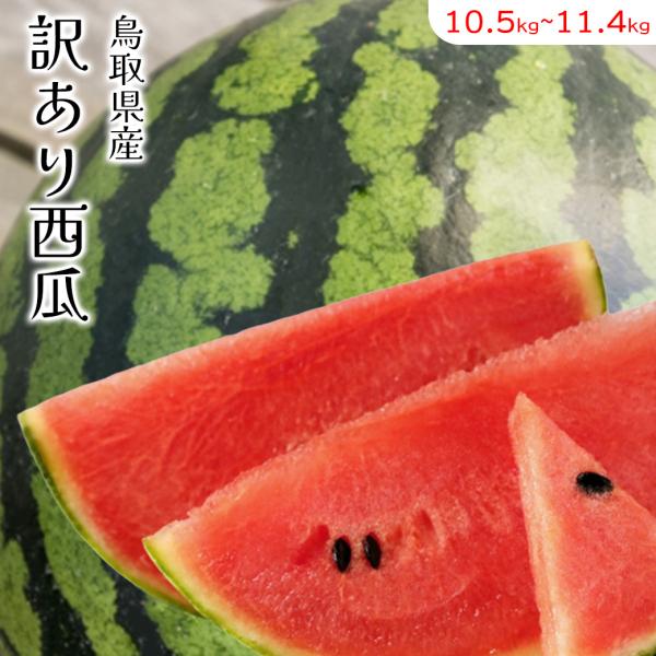 商品名：すいか産地：鳥取県内容量：10.5kg以上 保存方法：商品到着後なるべく早くお召し上がりください爆買