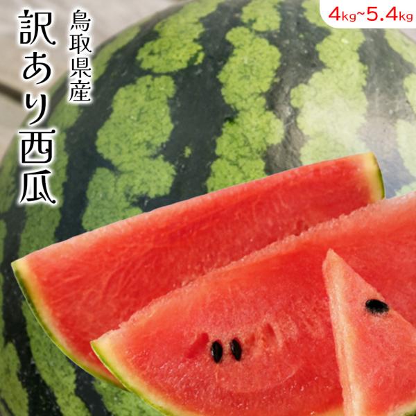 商品名：すいか産地：鳥取県内容量：4Kg-5.5Kg保存方法：商品到着後なるべく早くお召し上がりください爆買