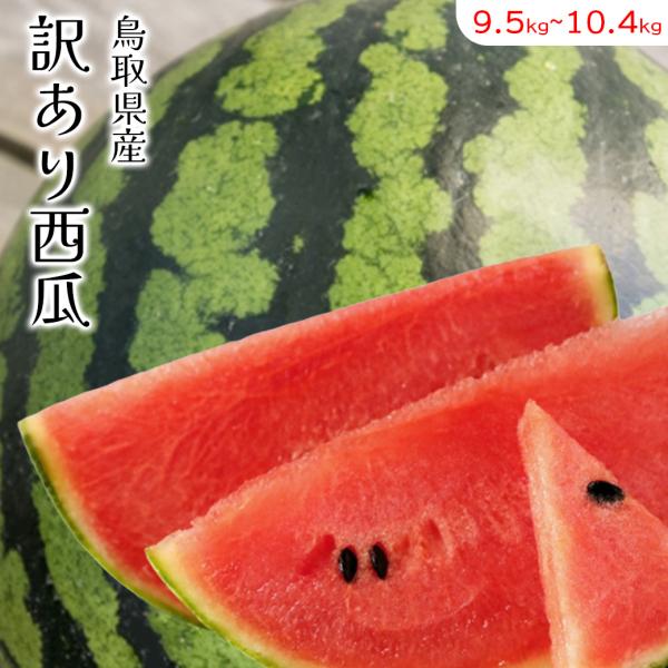 商品名：すいか産地：鳥取県内容量：9.5Kg-10.4kg 保存方法：商品到着後なるべく早くお召し上がりください爆買