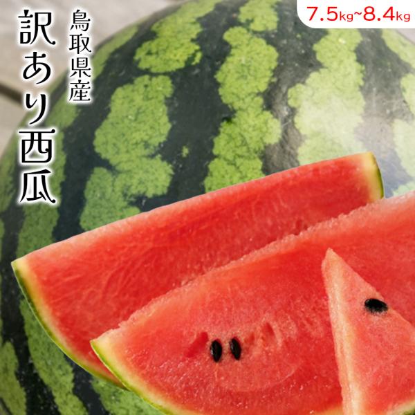 商品名：すいか産地：鳥取県内容量：7.5Kg-8.4Kg保存方法：商品到着後なるべく早くお召し上がりください爆買