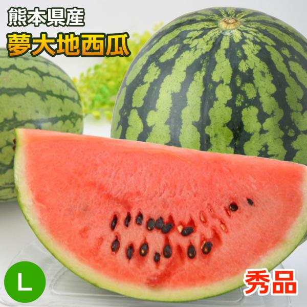 熊本県の豊かな大地で育った「夢大地すいか」。シャリッとほどける食感と、あふれる甘さが自慢です。ひと口かじれば、初夏の涼しさが広がるみずみずしさ。産地から丁寧に選び抜いた一玉を、ぜひご賞味ください。商品名：夢大地西瓜（秀品クラス）産地：熊本県...