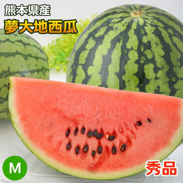 【発売日：2026年05月20日】熊本県の豊かな大地で育った「夢大地すいか」。シャリッとほどける食感と、あふれる甘さが自慢です。ひと口かじれば、初夏の涼しさが広がるみずみずしさ。産地から丁寧に選び抜いた一玉を、ぜひご賞味ください。商品名：夢...