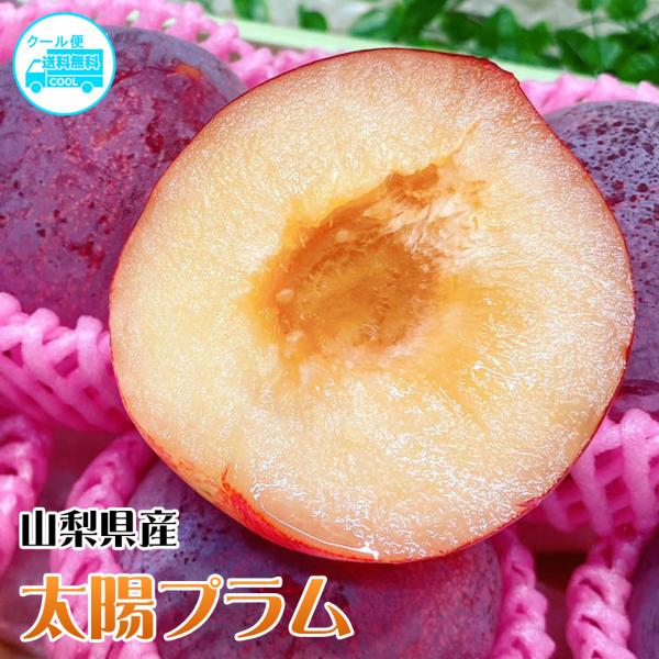 【発売日：2026年08月17日】山梨県産「太陽（たいよう）」は、深紅の果皮と濃厚な甘さが魅力の高級すももです。  昼夜の寒暖差が大きい山梨で育ち、ひと口で 果汁の多さと甘み・酸味の心地よいバランス が楽しめます。果肉はしっかりと締まり、噛...