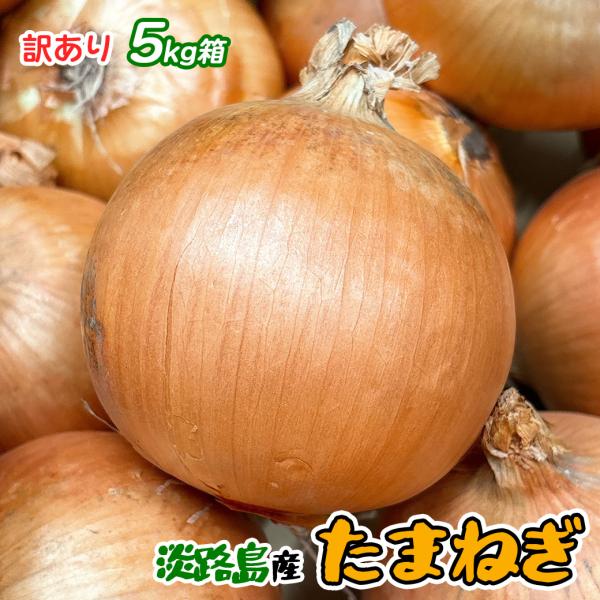 しっかりとした旨みと自然な甘さが特徴の名産品です。じっくり時間をかけて育つことで、加熱すると甘みがぐっと引き立ち、とろりとした食感と深いコクが生まれます。炒め物・煮込み・スープなど、どんな料理にも使いやすい万能食材です。淡路島ならではの豊か...