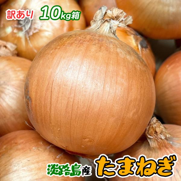 しっかりとした旨みと自然な甘さが特徴の名産品です。じっくり時間をかけて育つことで、加熱すると甘みがぐっと引き立ち、とろりとした食感と深いコクが生まれます。炒め物・煮込み・スープなど、どんな料理にも使いやすい万能食材です。淡路島ならではの豊か...