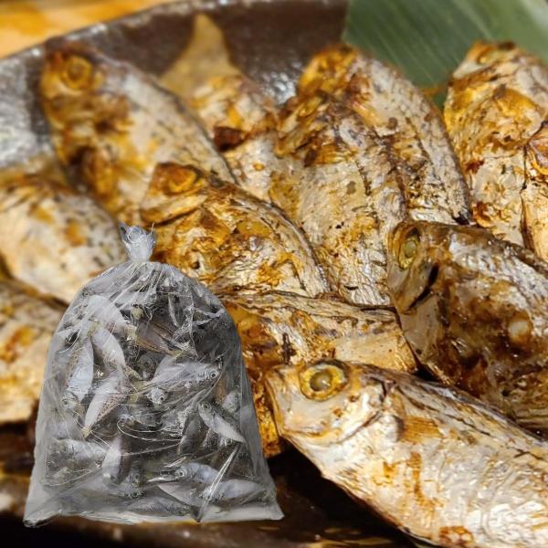 【原材料・成分】●オキヒイラギ(山口県産)、食塩【使用方法】●凍ったまま炙って召し上がり下さい。素揚げや、南蛮漬けにしても美味しくいただけます。