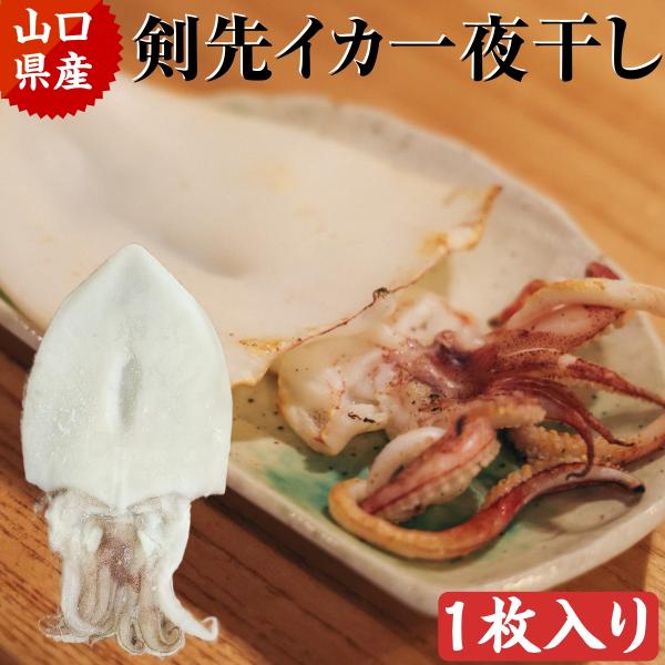 【原材料・成分】●イカ(山口県産)、食塩【使用方法】●グリルや七輪等で炙って召し上がり下さい。