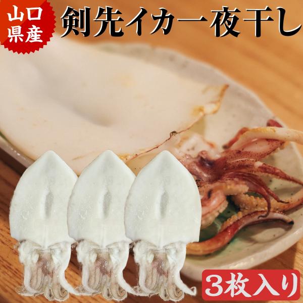 【原材料・成分】●イカ(山口県産)、食塩【使用方法】●グリルや七輪等で炙って召し上がり下さい。