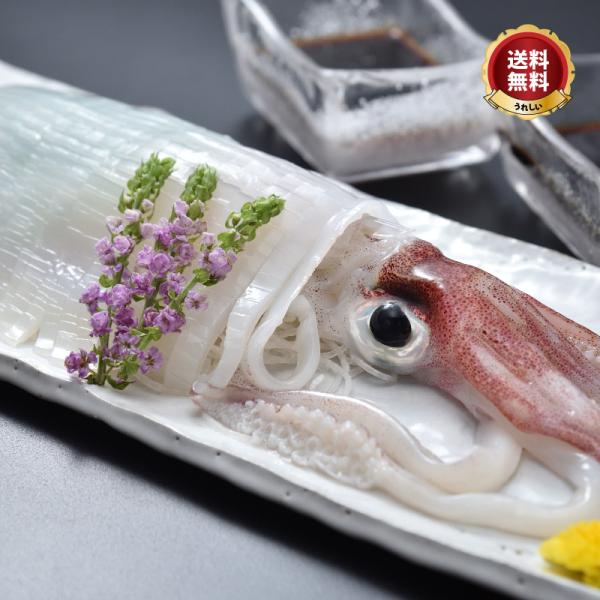 【商品番号】ik100【商品名】剣先イカ活き造り(真空パック・超冷タイプ)【内容量】約200g【原材料】山口県産 天然剣先イカ【お召し上がり方】同梱のレシピをご参考ください【産地】山口県長門市仙崎【消費期限】製造後90日(冷凍保存)【保管方...