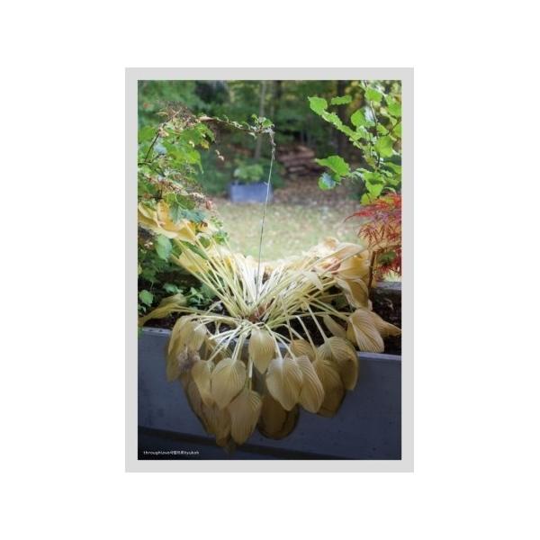 【創業23周年 韓国現地からご自宅まで直送！送料無料！の通販ショップ：ソウルライフレコード】