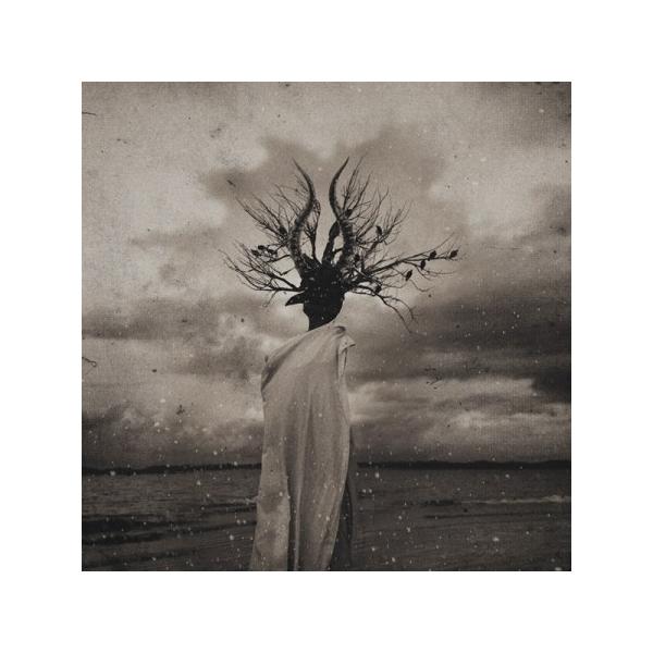 【創業23周年 韓国現地からご自宅まで直送！送料無料！の通販ショップ：ソウルライフレコード】