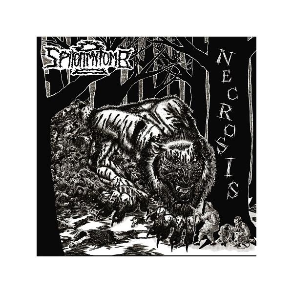 【発売日：2021年11月16日】【創業23周年 韓国現地からご自宅まで直送！送料無料！の通販ショップ：ソウルライフレコード】