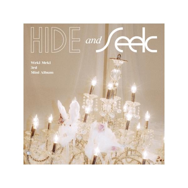 【創業23周年 韓国現地からご自宅まで直送！送料無料！の通販ショップ：ソウルライフレコード】