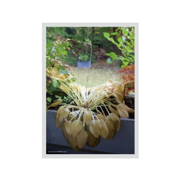 【発売日：2023年09月07日】【創業23周年 韓国現地からご自宅まで直送！送料無料！の通販ショップ：ソウルライフレコード】