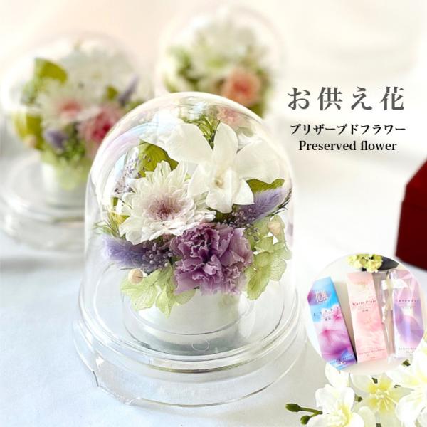 仏花 訃報 お悔やみにプリザーブドフラワーのデンファレ蘭、ことね菊、カーネーションを使用した上品な色合いとデザインが特徴のお供え花です。ドーム型のカバーにより、埃や湿気から花を守り、お手入れも簡単です。コンパクトなサイズ感で、仏壇やご霊前、...