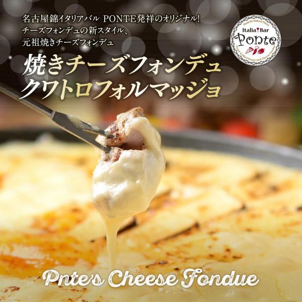 プレミアムなチーズフォンデュをご自宅やアウトドアなど、様々なシーンで！■モッツァレラチーズ：イタリア産のフレッシュチーズ。濃厚なミルクの味と伸びの良さが特徴です。厳選したものを使用しています。■スモークチーズ：プロセスチーズ：プロセスチーズ...