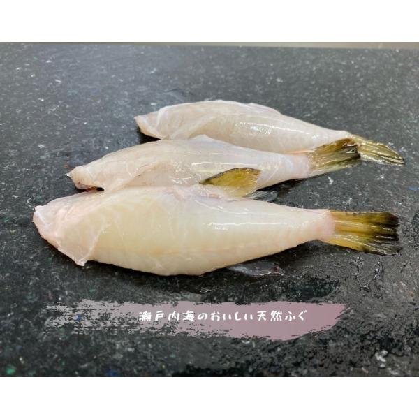 朝どれの活魚をドレス加工して洗浄、CAS凍結、真空パック、冷凍保存したものです。超低温冷凍庫にて保管していますのでとても良い状態で出荷できます。1尾づつ袋に入っていますので入用分だけ使えてとても便利、また保管もしやすく解凍も短時間でできます。