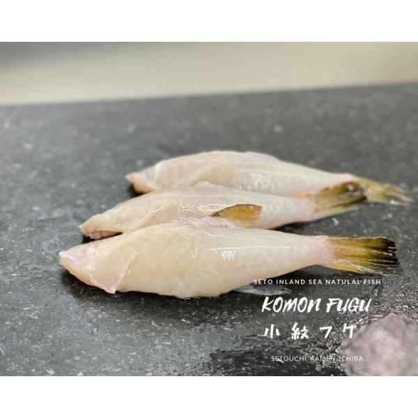 朝どれの活魚をドレス加工して洗浄、CAS凍結、真空パック、冷凍保存したものです。超低温冷凍庫にて保管していますのでとても良い状態で出荷できます。1尾づつ袋に入っていますので入用分だけ使えてとても便利、また保管もしやすく解凍も短時間でできます。