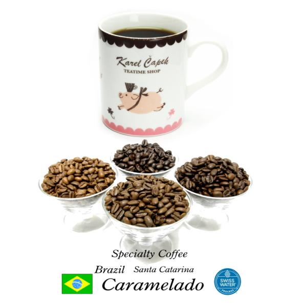 サンタ　カタリーナ農園はミナスジェライス州東部にあるブラジル大西洋岸森林の地域にある64の自治体で構成されるスペシャルティコーヒー原産地の生産者です。キャラメルのような甘いアロマで、味もマッタリとしたコクがある。全体のバランスが多くの日本人...