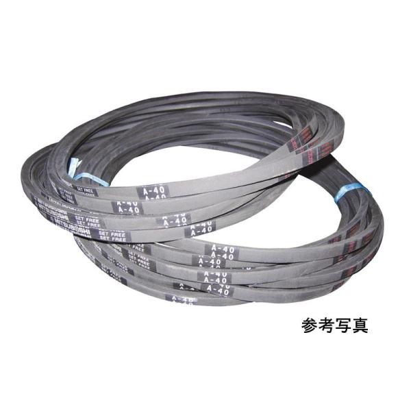 製造元：三ツ星ベルト型式：A-57 ピッチ周長1448mm11,000円(税込)以上ご購入で送料無料(沖縄・離島を除く)※商品画像は参考画像です。実際とは多少異なる場合がございます。