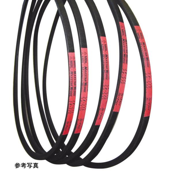 製造元：三ツ星ベルト型式：8V1500 有効周長3810mm ピッチ周長3794mm11,000円(税込)以上ご購入で送料無料(沖縄・離島を除く)※商品画像は参考画像です。実際とは多少異なる場合がございます。