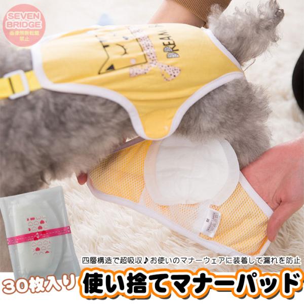 【商品詳細】■サイズ：約12.5×12.5cm■吸収量：約100ml■個包装30枚セット生理やトイレの失敗でのウェアの汚れを防ぎ、適切個所にスポット使用しやすい♪もしもの漏れを防ぐマナーウェアに取付けて使う丁度いい大きさの使い捨てマナーパッ...