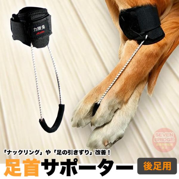 犬用足首サポーターで愛犬の歩行をサポート!1,ナックリングを防止！後ろ足の引きずりを防ぎ、爪やつま先、デリケートな肉球を摩擦から保護します。2,痛みを和らげ、歩行サポート骨関節炎のケアや、弱った筋力の回復補助に最適。動きを妨げない自然なフィ...