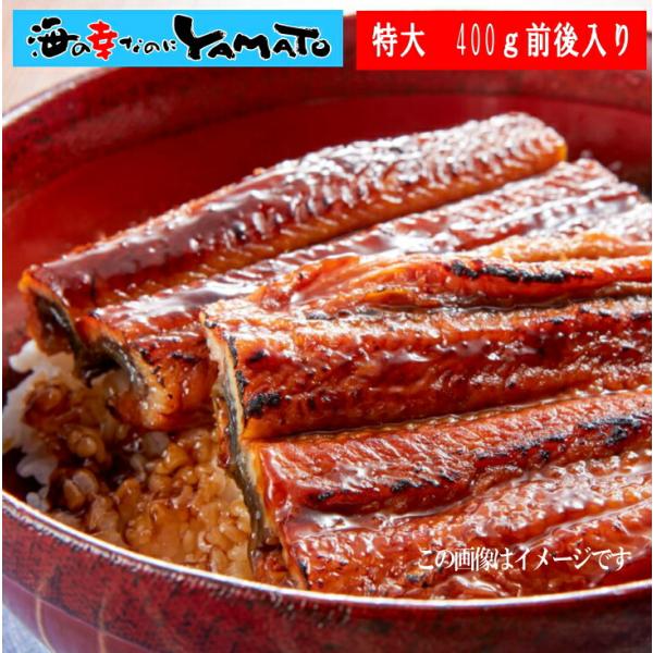 うなぎ蒲焼内容量：1尾（400ｇ前後）原材料名：うなぎ(中国産)、しょうゆ、砂糖混合異性化液糖、発酵調味料、水あめ、砂糖、うなぎエキス/酒精、増粘剤(加工デンプン、増粘多糖類)、調味料(アミノ酸等)、着色料(カラメル、アナトー)、(一部に小...