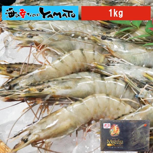 マダガスカルルージュプレミアム内容量：1kg原材料名：えび(養殖・ブラックタイガー)、酸化防止剤(亜硫酸Na)原産国名：マダガスカル賞味期限：冷凍【未解凍】：1ヶ月（解凍後冷蔵：解凍当日）加熱調理の必要性解凍してそのままお召し上がりください