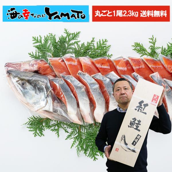 紅鮭姿切身内容量:1尾分原材料名：紅鮭(ロシア産)、食塩 (一部にさけを含む)保存方法：?18℃以下で保存してください賞味期限：家庭用冷凍庫での保管は1か月を推奨しております解凍後はお早めにお召し上がりください。栄養成分表示 100gあたり...
