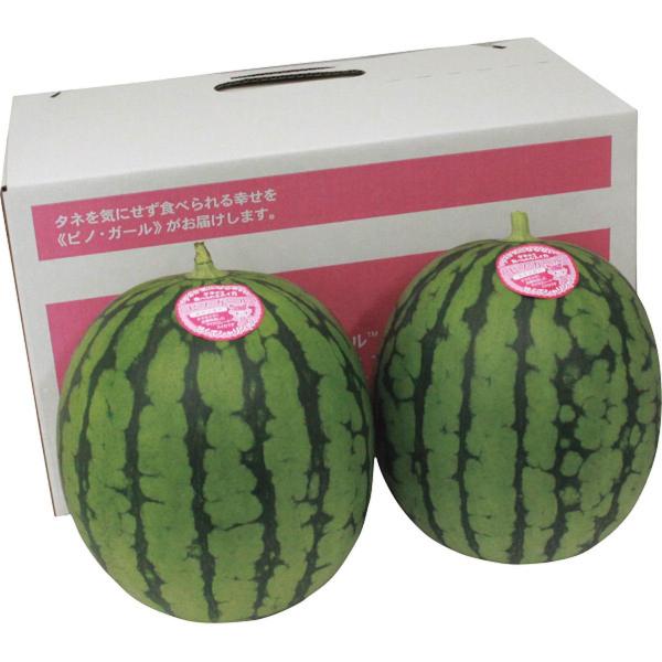 食べるときに種がほとんど気にならない種の大きさが従来の4分の1程度にしかならないマイクロシードのすいか。皮が非常に薄く、すいかの抜群のシャリ感と甘さも併せ持つとても美味しい西瓜です。■商品内容●熊本県または長崎県または和歌山県産 ピノガール...