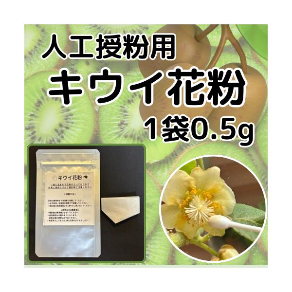 雄木と雌木の開花がズレたり、雄木がない場合に花粉を使って人工授粉をします。花粉袋にQRコードも付いておりますが、あわせて紙の説明書も同梱いたします。●花粉0.5gを紙に包んであるので、無駄なく使えます。●黄肉、緑肉、赤芯のキウイフルーツに使...