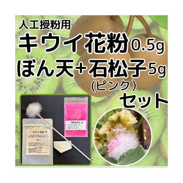 雄木と雌木の開花がズレたり、雄木がない場合に花粉を使って人工授粉をします。花粉増量剤染色石松子はヒカゲノカズラの胞子で花粉に近い粒子特性があり、ピンク色に染色されているので授粉した花と未授粉の花が見分けられます。※石松子には受精能力がないた...