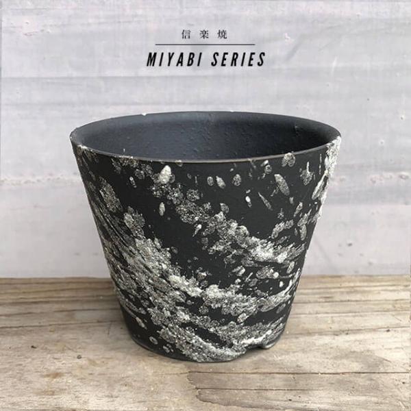 日本六古窯のひとつで、1300年の伝統を誇る陶器の産地・滋賀県信楽において常にアップデートを続け、幅広い年代に支持されている「かみ山陶器」伝統的な技術を生かしつつ、シンプルで洗練されたデザインの鉢も多く、塊根、多肉植物などとの相性も良いです...