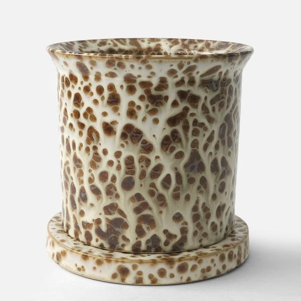 受け皿というより、まるで"台座"1.5cmの極厚ソーサーで魅せる鉢排水性への気配りも◎まずはひときわ目を引く個性的な釉薬！某ドクターなんちゃらに生みだされた彼とか、卵の中で成長を待つ某巨神兵みがあります。（個人の感想です）内側底面まで釉薬が...