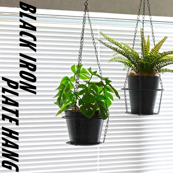 ブラックアイアンシリーズにハンギングプレートが加わりました！錆びにくいブラックアイアンシリーズマットな黒色に塗装された無機質なアイアン素材が、植物の存在感を引き立てます。鉄製ですが軽く、とても扱いやすいです。錆びにくい処理が施されているため...