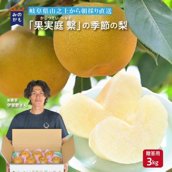 知る人ぞ知る梨の名産地、【美濃加茂市・山之上】の若手農家「果実庭繋」の梨。その時の旬の品種の中で、その日その朝農家がもっともオススメしたい品種をお届けします。名称：梨産地名：岐阜県美濃加茂市内容量：農作物のため、味わいや大きさ、重みに個体差...