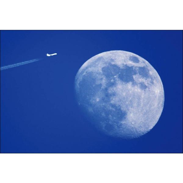 【発売日：2011年01月01日】【内容紹介】McDonnell Douglas MD-11両面フルカラー印刷で2枚の写真を使用、カード用紙には厚手のコート紙265kg OPP袋も厚さにこだわり0.05mmを使用しています。美しく迫力ある写...