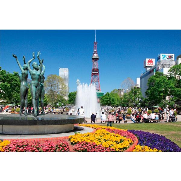 【発売日：2011年01月01日】【内容紹介】花咲く大通公園両面フルカラー印刷で2枚の写真を使用、カード用紙には厚手のコート紙265kg OPP袋も厚さにこだわり0.05mmを使用しています。美しく迫力ある写真で評価が高い写真工房のオリジナ...