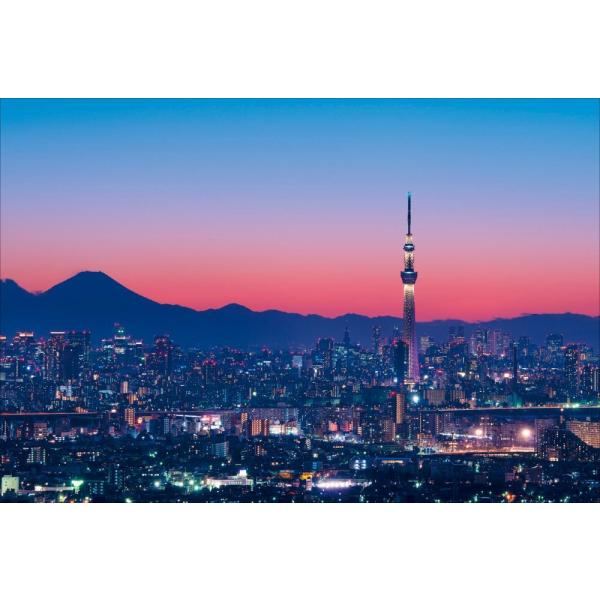 【発売日：2011年01月01日】【内容紹介】黄昏の東京スカイツリー両面フルカラー印刷で2枚の写真を使用、カード用紙には厚手のコート紙265kg OPP袋も厚さにこだわり0.05mmを使用しています。■QRコード付携帯電話の待受画面にも使用...