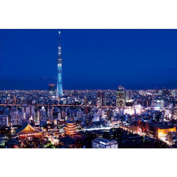 【発売日：2011年01月01日】【内容紹介】東京スカイツリーと浅草寺両面フルカラー印刷で2枚の写真を使用、カード用紙には厚手のコート紙265kg OPP袋も厚さにこだわり0.05mmを使用しています。■QRコード付携帯電話の待受画面にも使...