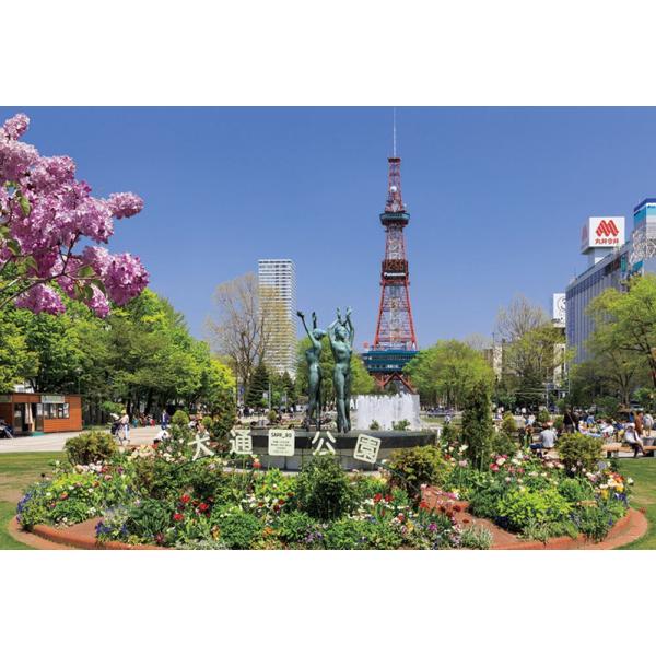 【発売日：2011年01月01日】【内容紹介】ライラックの花と大通公園カード用紙には厚手のコート紙265kg OPP袋も厚さにこだわり0.05mmを使用しています。美しく迫力ある写真で評価が高い写真工房のオリジナルポストカードです。【商品仕...