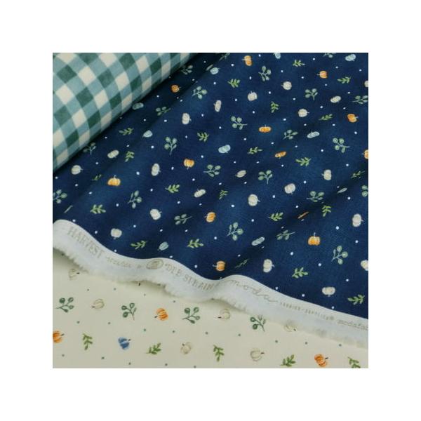 TOSSED TINY PUMPKINS/WHITE WASHED(56064-11)・TOSSED TINY PUMPKINS/NIGHT SKY(56064-12)・FALL GINGHAM/AQUA(56065-14)